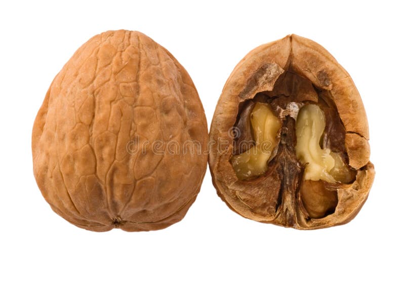 Open walnut stock image. Image of nutshell, fall, walnut - 4589397