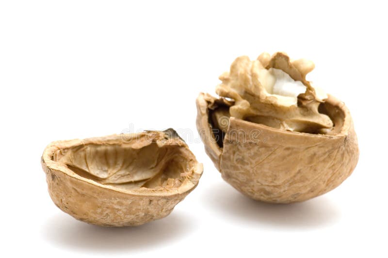 Open walnut stock photo. Image of diet, dessert, macro - 5620462