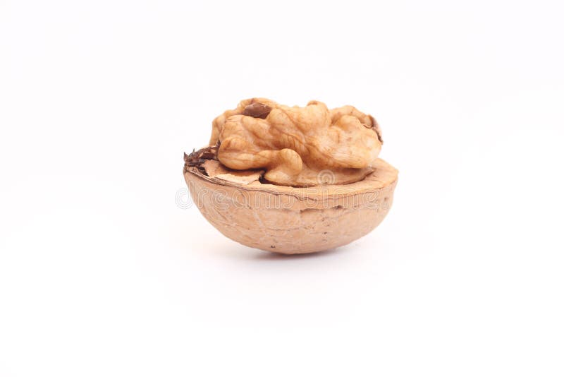 Open walnut stock photo. Image of breakfast, organic, group - 7275842