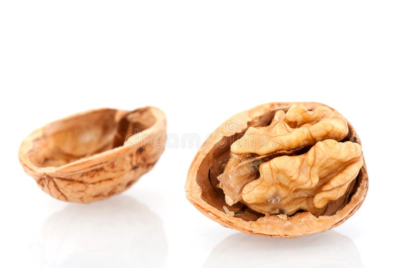 Open walnut stock image. Image of closeup, cracked, macro - 9870391