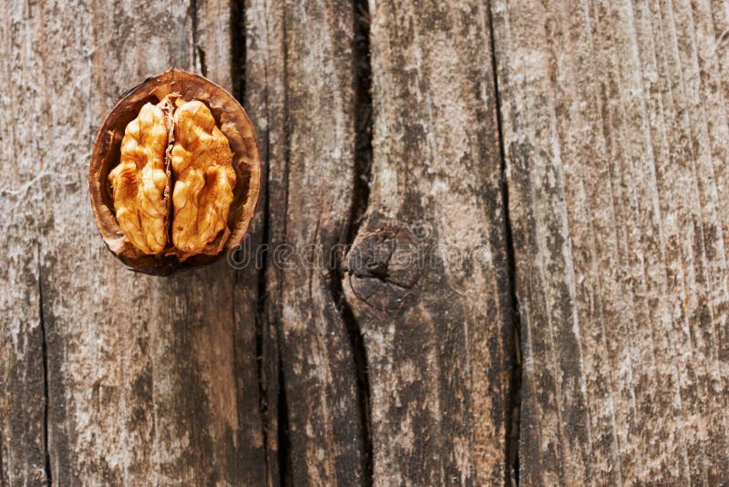 Open walnut stock photo. Image of nutshell, snack, protein - 65576392