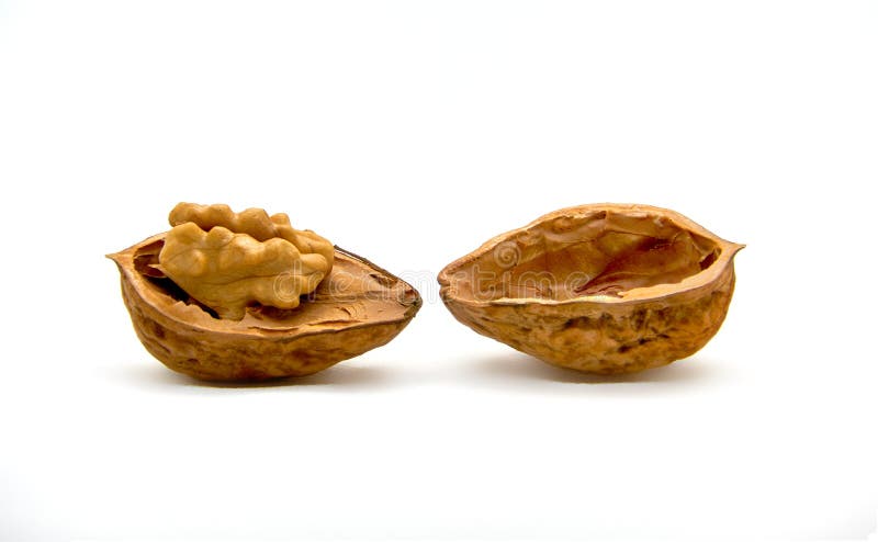 Open walnut isolated stock photo. Image of closeup, open - 140332110