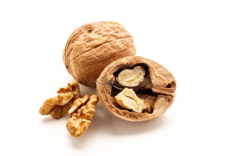 Open Walnut on White Background Stock Image - Image of edible, protein ...