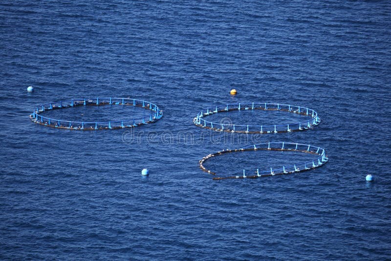 Open Water Fish Farm Royalty Free Stock Photo - Image: 19104905