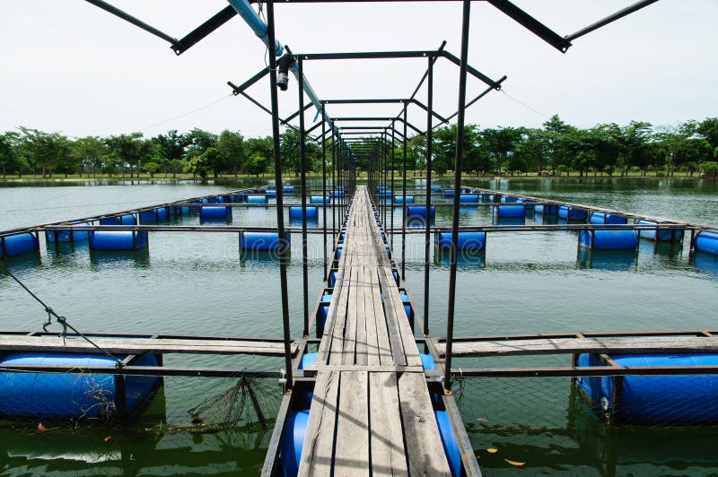 Open water fish farm stock photo. Image of pond, fishery - 36062944