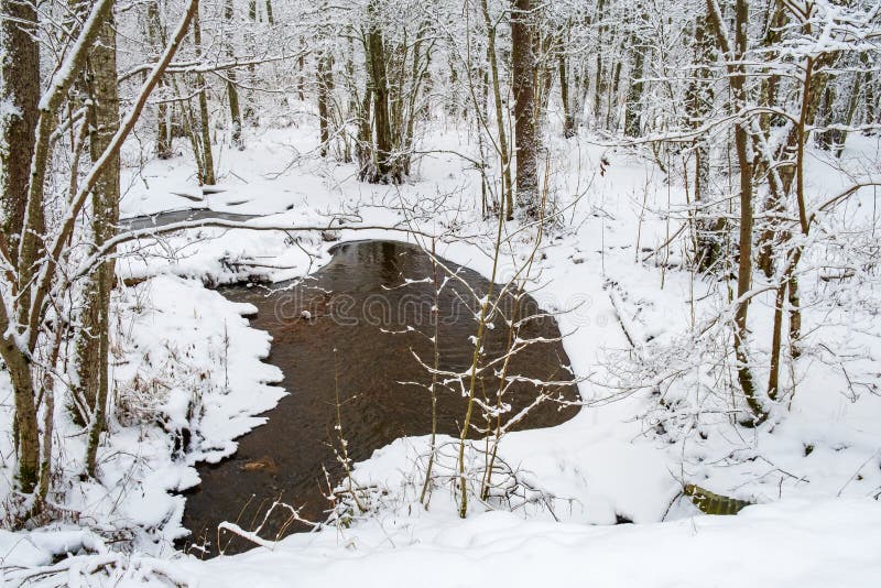 Open Water in a Snowy Woodland Stock Image - Image of wooded, river ...