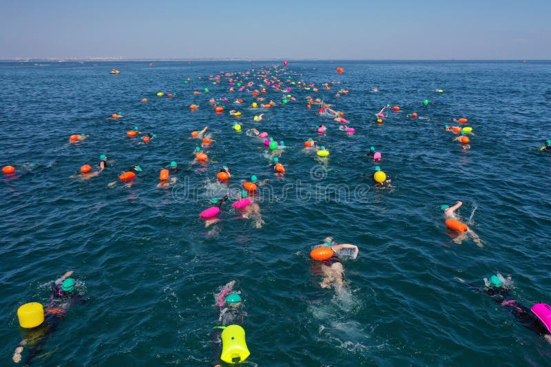 Swimming Competition in the Sea Stock Image - Image of group, ironman ...