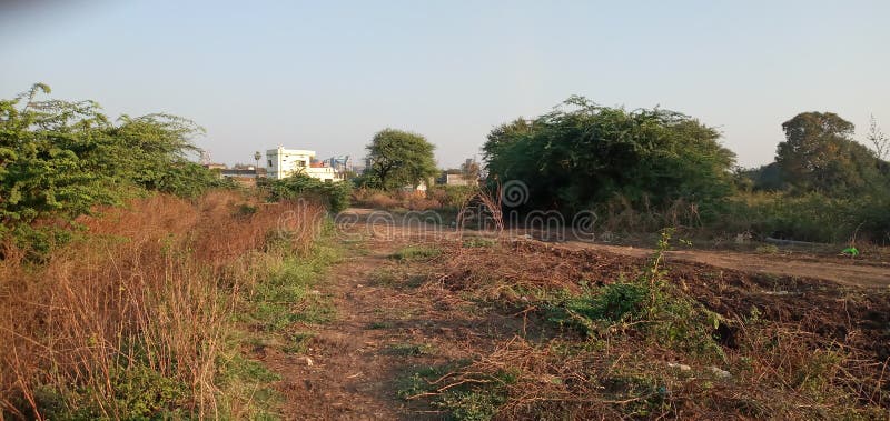 Open West Land at Gadchandur after Cutting Their Crops Stock Image ...