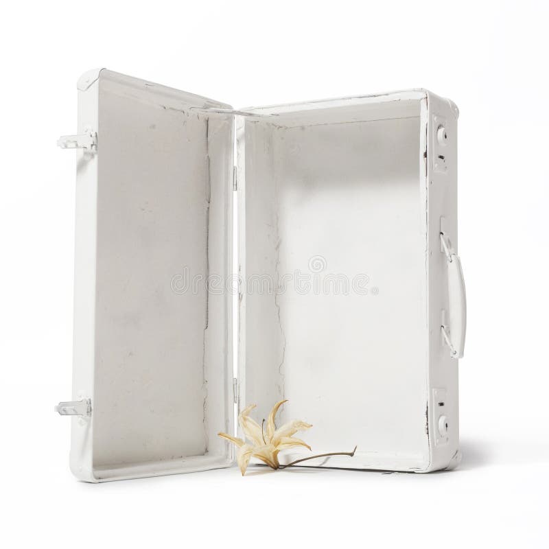 Open white suitcase stock photo. Image of clean, closed - 15130346