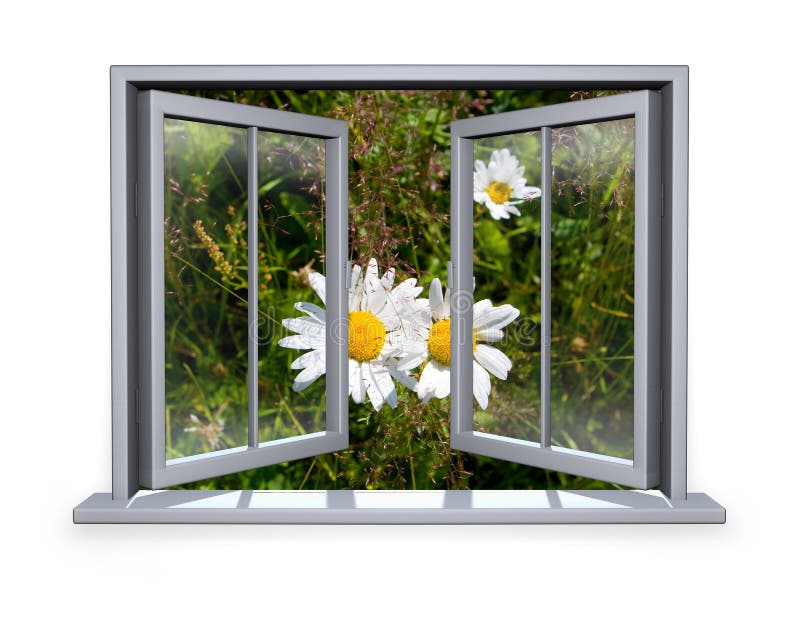 Open White Window with a View To the Flower Stock Image - Image of ...