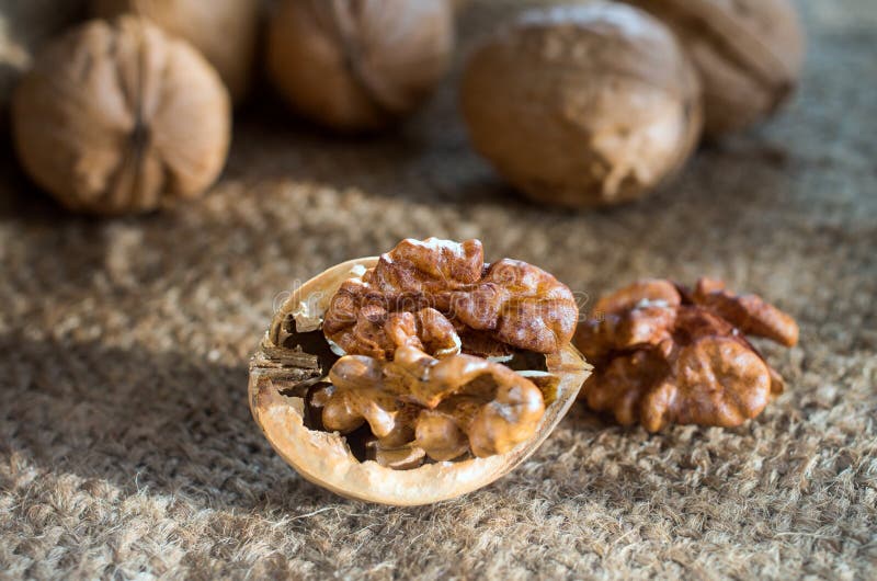 Open and Whole Walnut Close-up Stock Photo - Image of brown, close ...