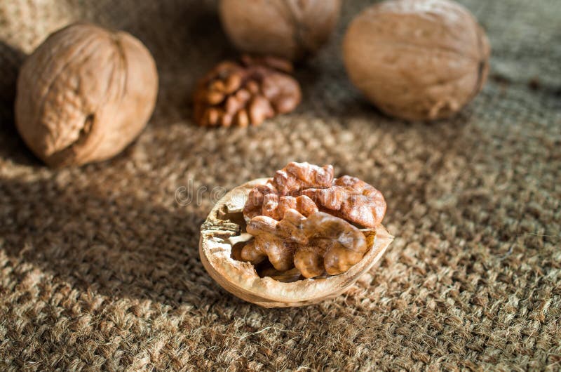 Open and Whole Walnut Close-up Stock Image - Image of closeup, eating ...