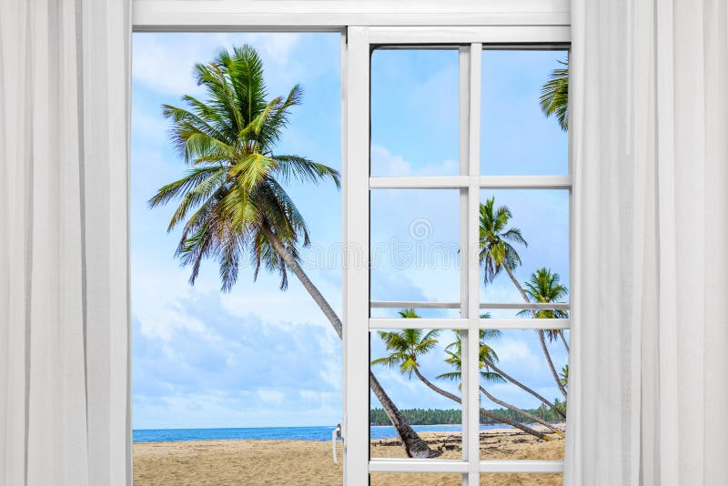 Window open palm beach stock image. Image of beach, access - 101405583