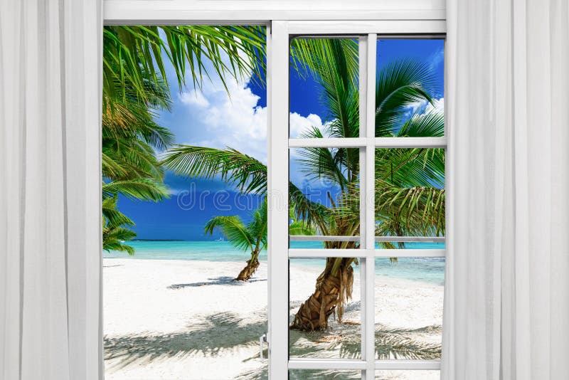 Window open palm beach stock image. Image of landscape - 101406829