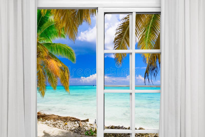 Window open palm beach stock image. Image of concept - 101407081