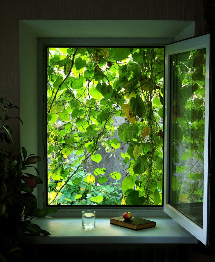 Open Window with Climbing Plants Stock Photo - Image of plants, book ...