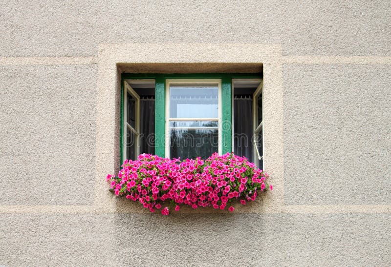 Open Window Decorated with Bright Pink Petunia Flowers Stock Photo ...