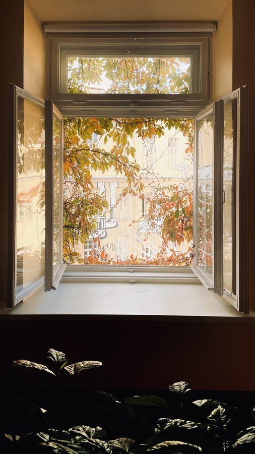 Open Window and Fall Leaves Stock Image - Image of furniture, flooring ...
