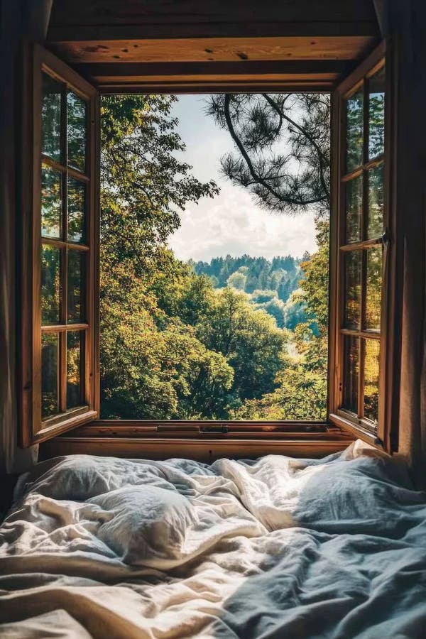 Open Window Forest View stock photo. Image of adventure - 378043670