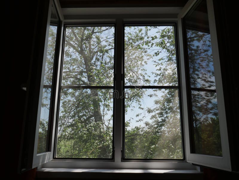 Open Window. Summer. Outside the Window, Leaves and Trees. Abstraction ...