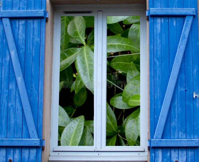 Open Window in Tropical Background. Window, Green Leaves, Nature Stock ...