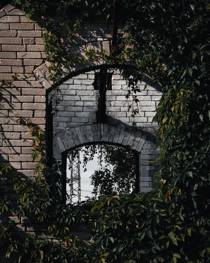 2 Open Windows of Abandoned Building. Brickwalls Covered by Greenery ...