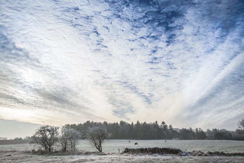 Open Winter Landscape with Frost and Dramatic Sky Stock Photo - Image ...