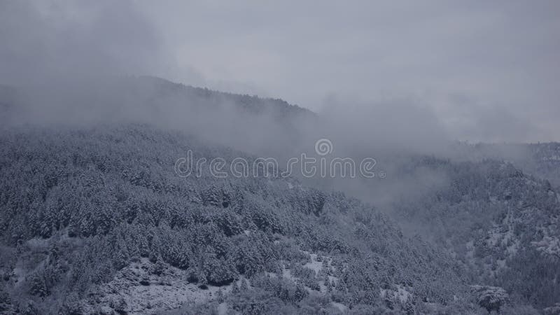 Open winter landscape stock photo. Image of hill, monochrome - 236734936