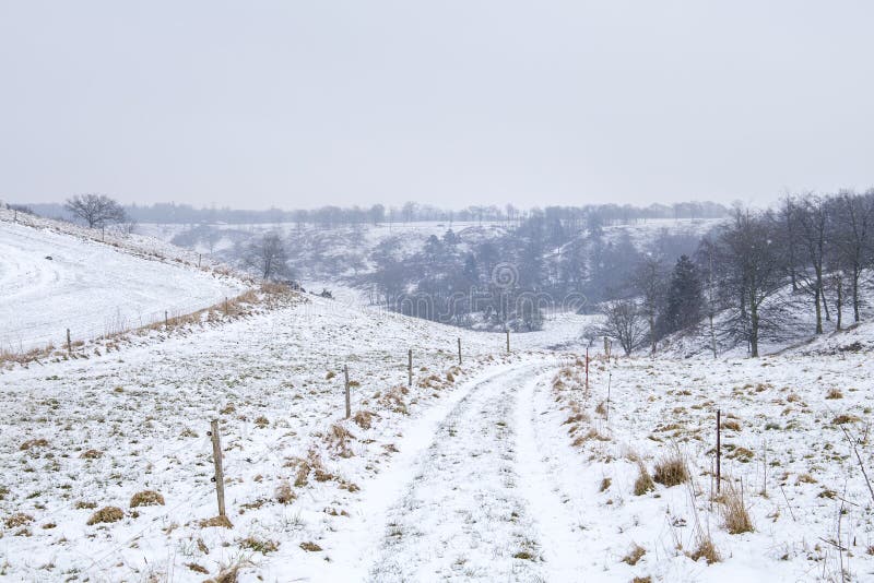 Open Winter Landscape with Snow and Walking Path Stock Image - Image of ...