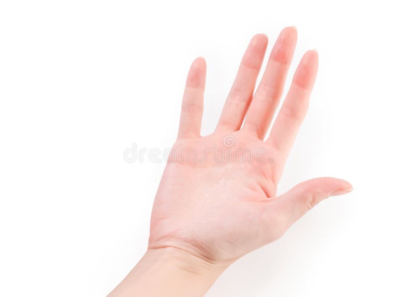 Frontal View Human Arm Stock Photos - Free & Royalty-Free Stock Photos ...