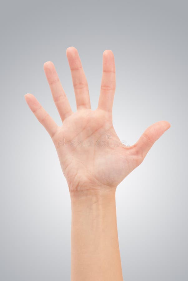 Five stock photo. Image of showing, open, finger, sunset - 3147620