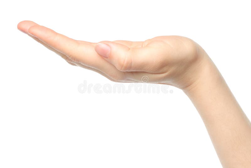 Open Back of Black Woman S Hand Stock Image - Image of high, palm: 29270927