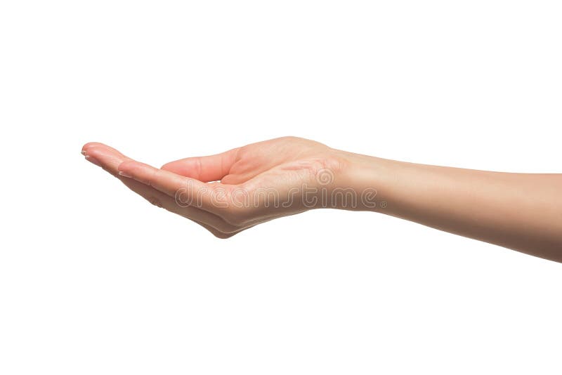 543 Side View Woman Hand Palm Up Stock Photos - Free & Royalty-Free ...