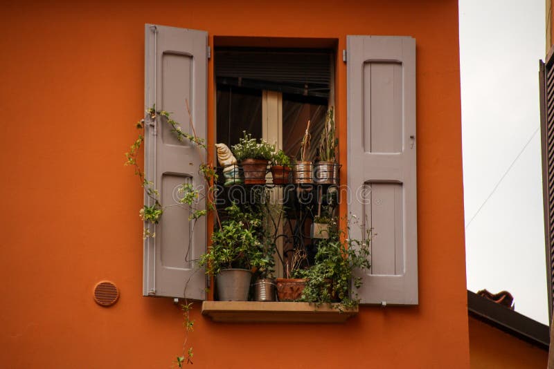Open Wooden Window Panels with Potted Decorative Plants on an Orange ...