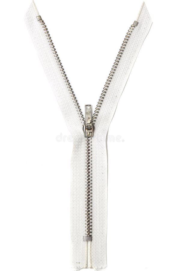 Cat in Open Zipper Hole Isolated Stock Image - Image of funny, breed ...