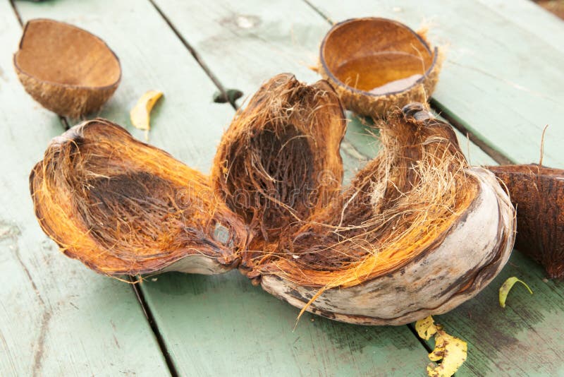 Coconut Husk stock photo. Image of south, fresh, opend - 35417472