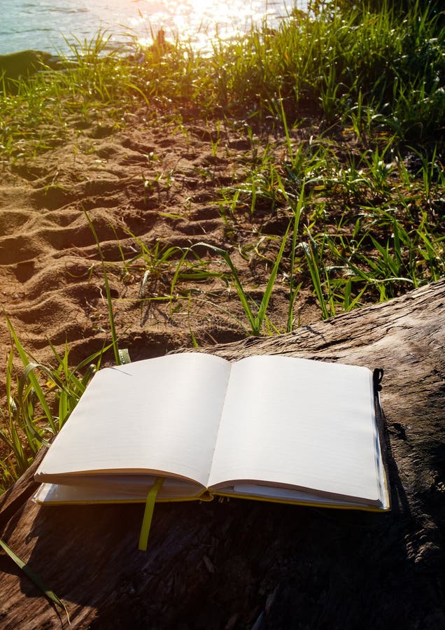 Opened Blank Book stock image. Image of still, pages - 288498397