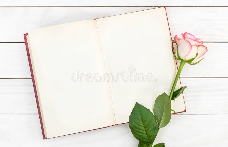Opened Blank Book with Pink Rose on White Wooden Table. Top View Stock ...