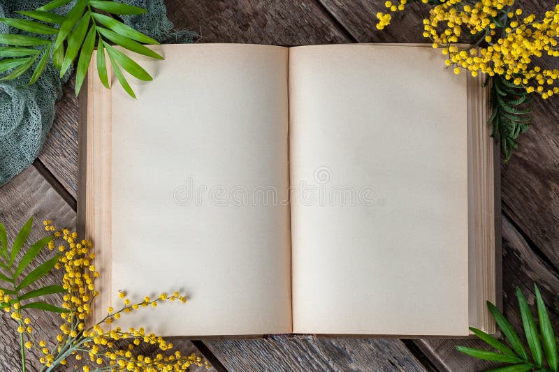 Opened Book with Blank Pages on Old Wooden Table. Background Image in ...