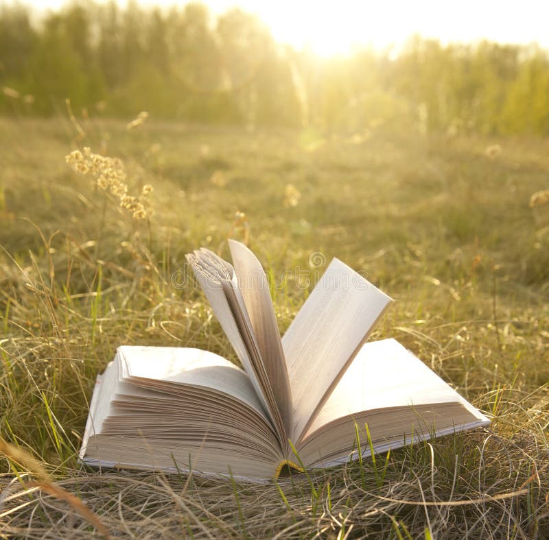 Open Book To the Garden for Rest Stock Photo - Image of read, abstract ...