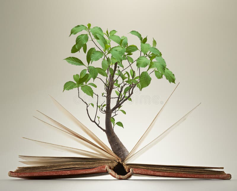 Bible Tree Growing Stock Photos - Free & Royalty-Free Stock Photos from ...
