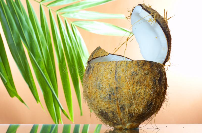 Opened Coconut Picture. Image: 3785559