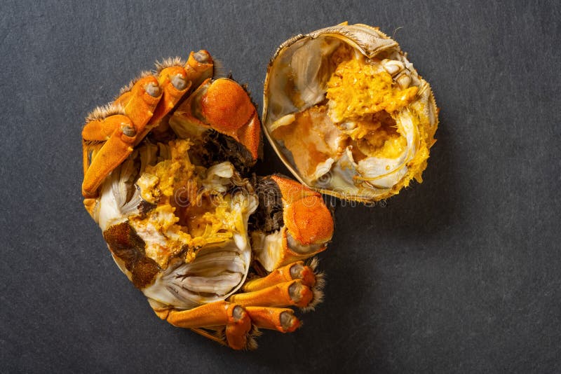 An Opened Crab Showing the Crab Roe and Meat on a Dark Background Stock ...