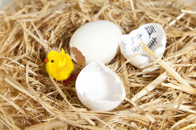 Eggs in the nest stock image. Image of easter, chicken - 29784487