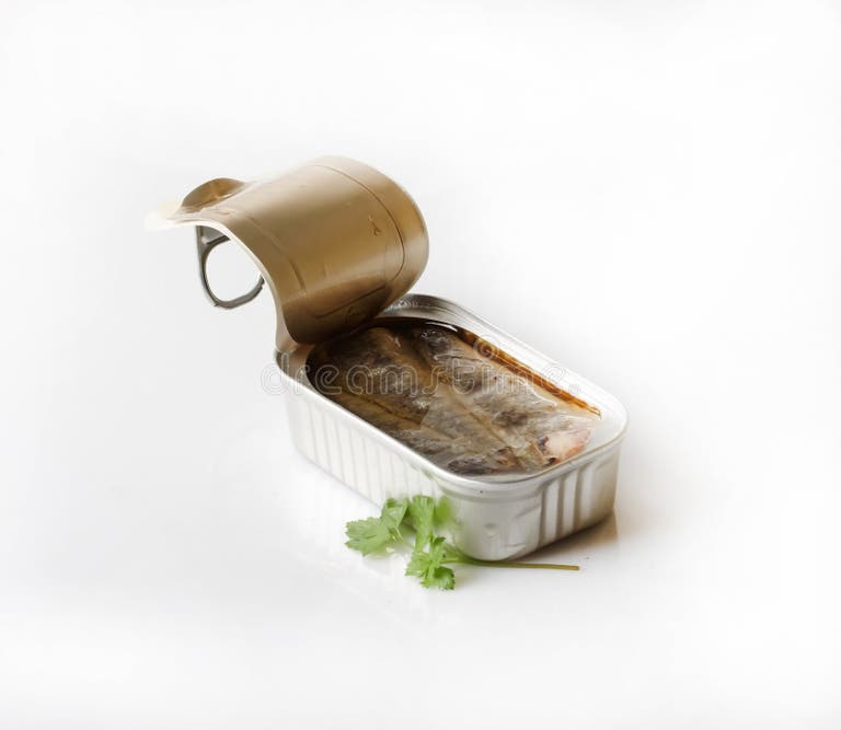 Opened fish can stock image. Image of food, container - 18086983