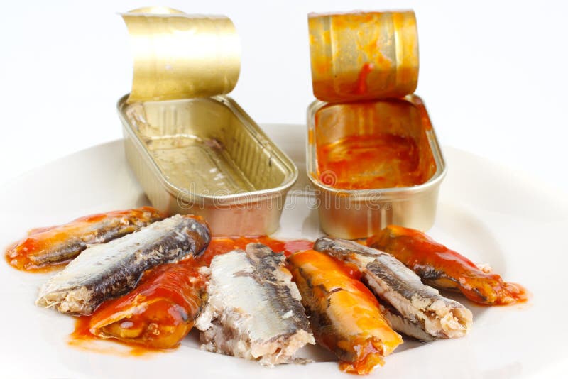 Opened Fish Can stock photo. Image of background, garbage - 4376968