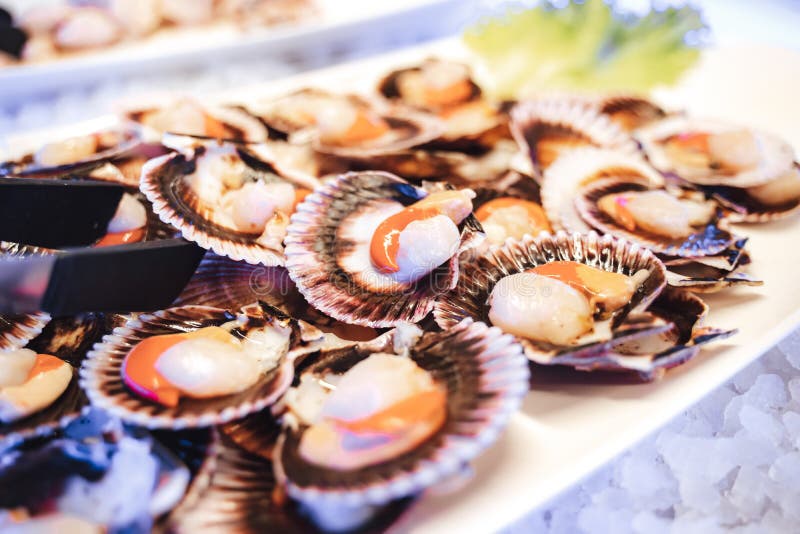 Opened Fresh Scallops in Their Shells Stock Photo - Image of appetizing ...
