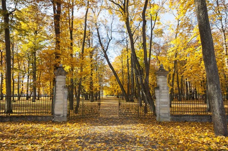 Old gate in autumn forest stock photo. Image of leaves - 34502622