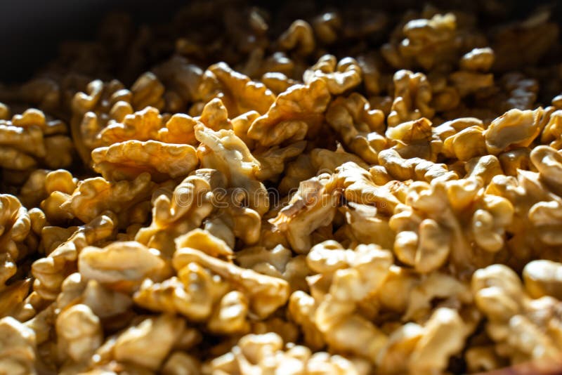 Opened Hazelnuts in a Box in a Closeup Stock Photo - Image of nuts ...