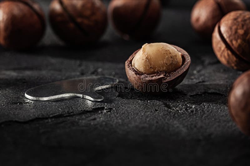 232 Macadamia Key Stock Photos - Free & Royalty-Free Stock Photos from ...